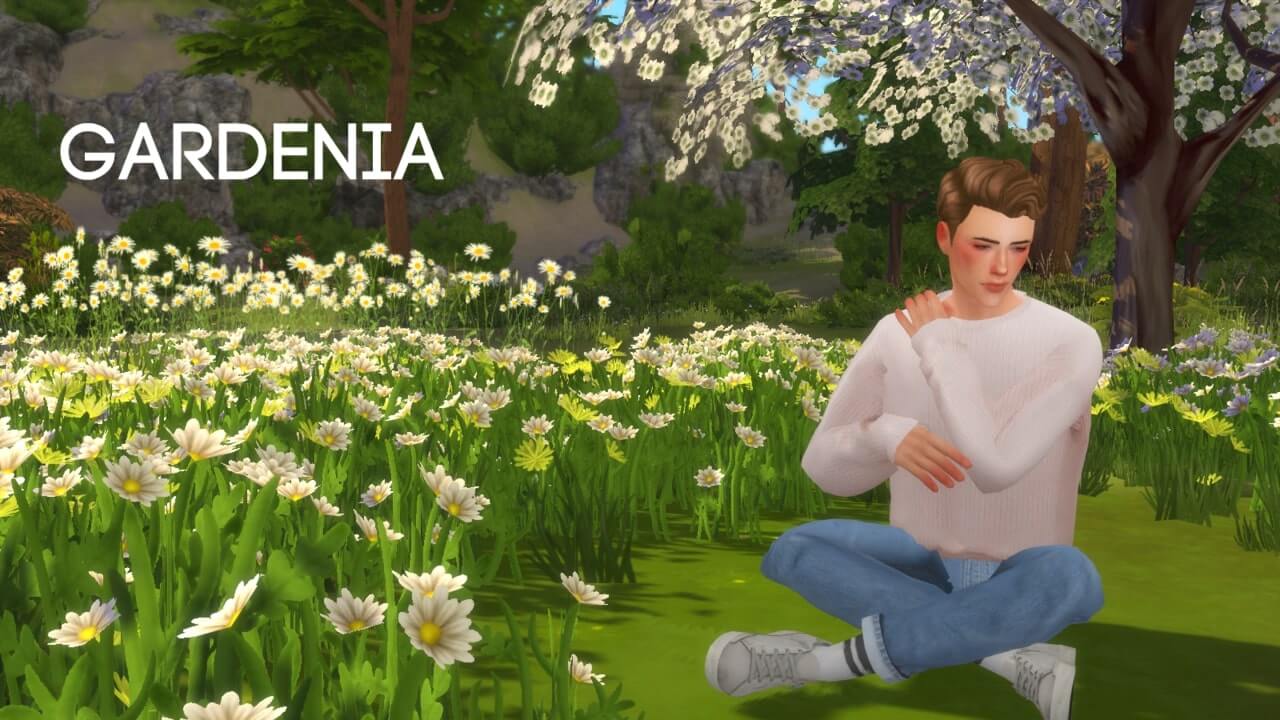 Flower Boy Pose Pack - Sims4File