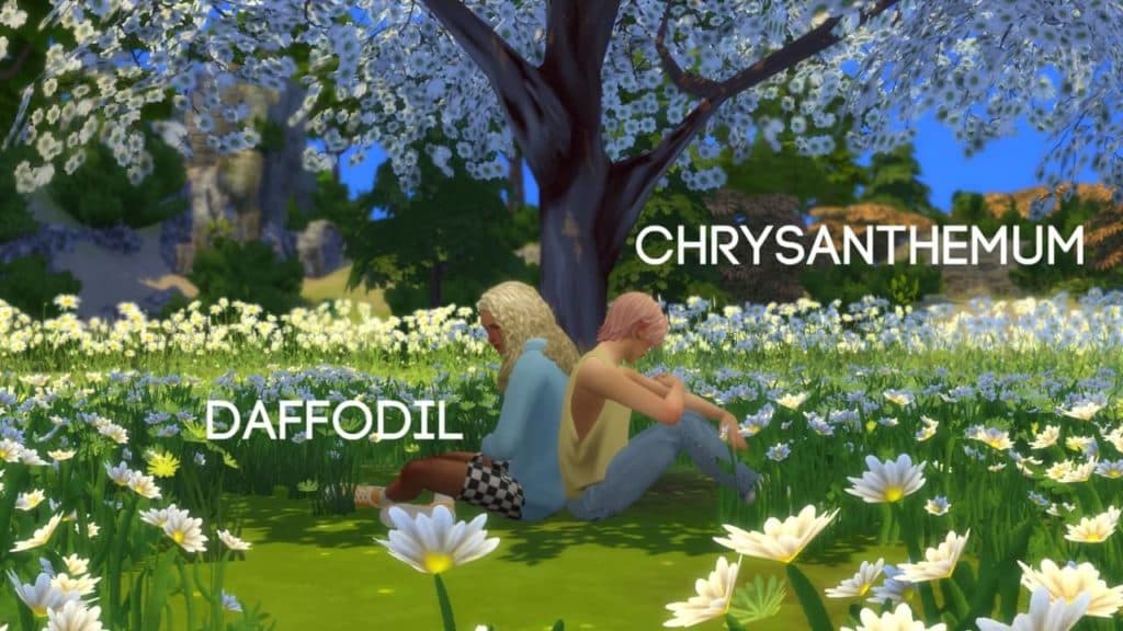 Flower Boy Pose Pack - Sims4File